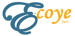 Accueil | E-COYE Consulting